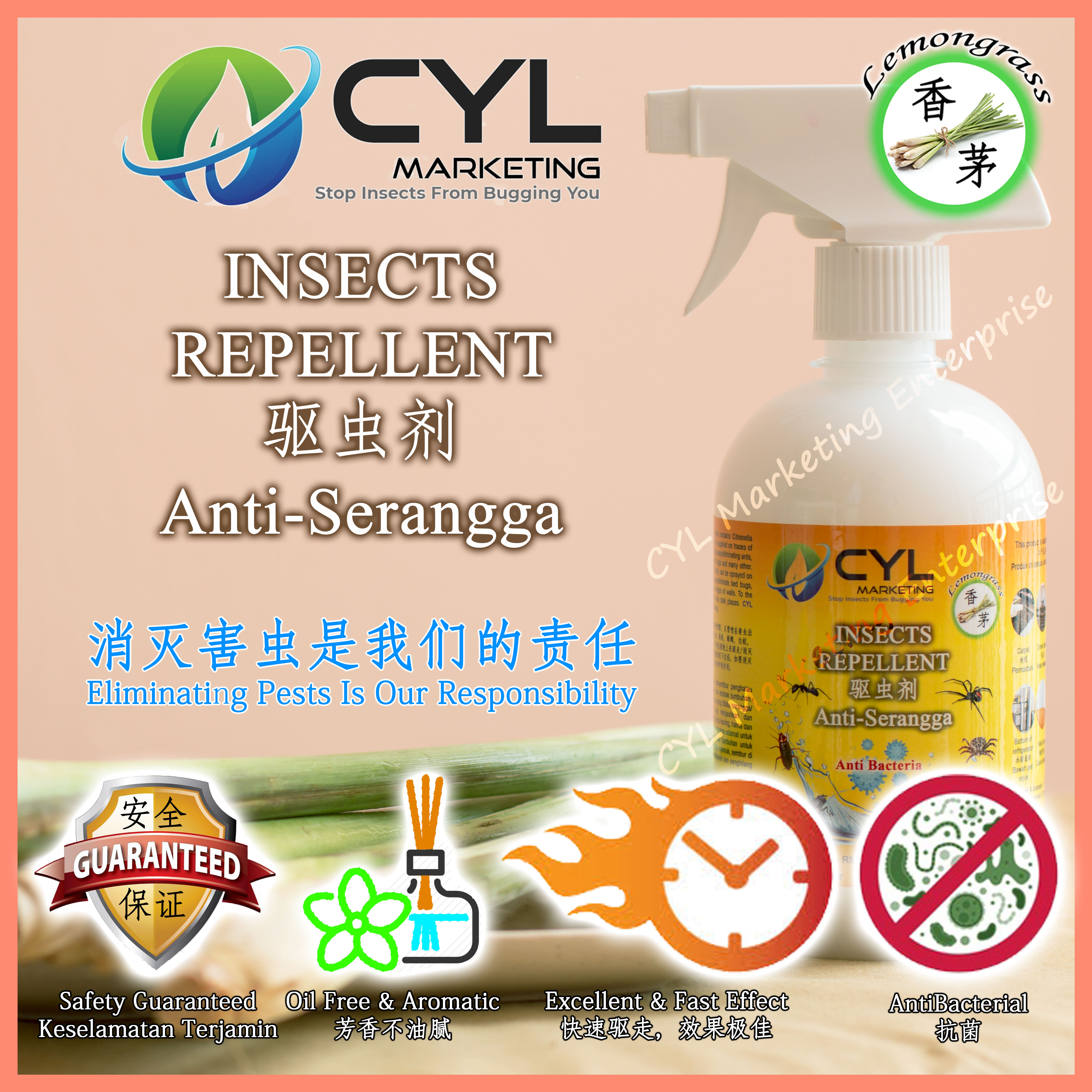 [500ml] CYL Insect Repellent Spray | Multi-purpose Insect Killer | Anti ...