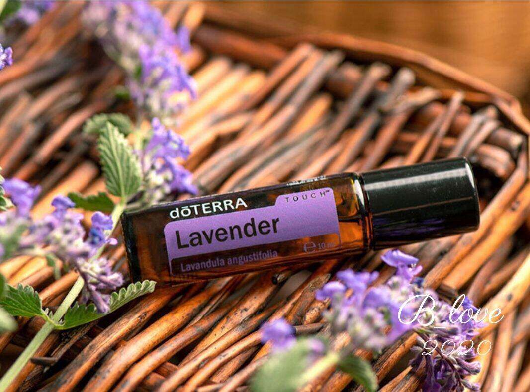 Lavender Touch (呵护系列 薰衣草精油) 10ml | Lazada