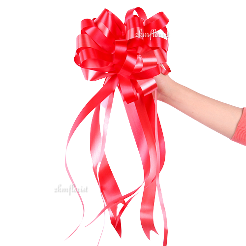 (5PCS) 150CMX5.5CM CLASSIC PULL Ribbon Reben Riben Gift Organza Flower ...