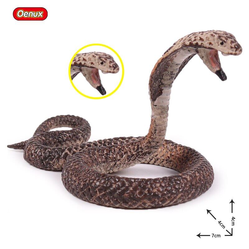 Oenux Forest Snakes Animals Model Simulation Rattlesnake Python Cobra ...