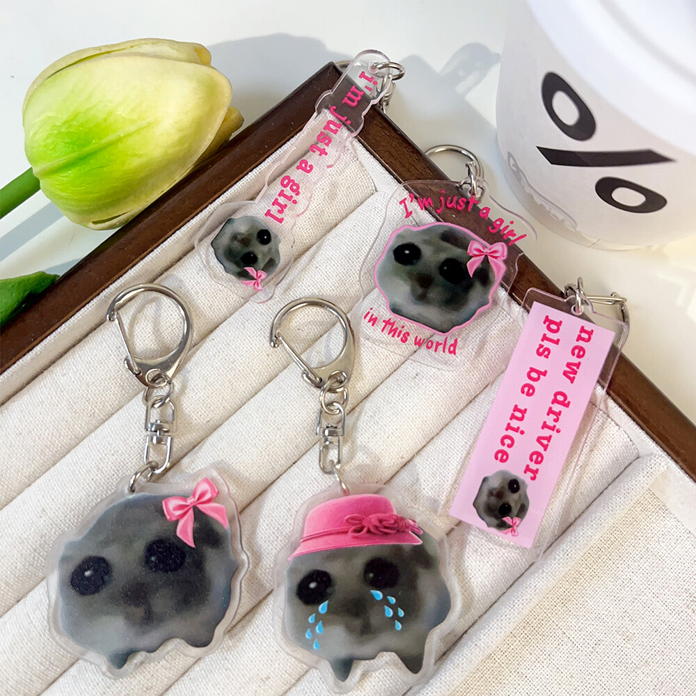 Lovely girls houseSimple AcrylicAnimal Key Holder Popular Meme Sad ...