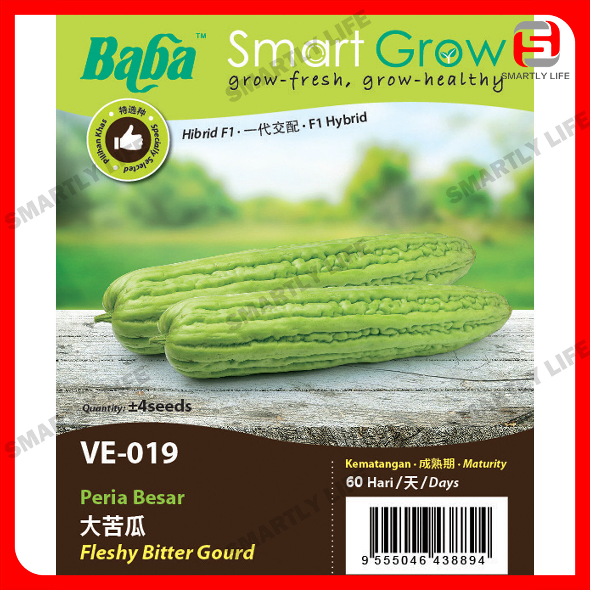 Baba Smart Grow Seed: VE-019 F1 Fleshy Bitter Gourd 大苦瓜 Peria Besar ...
