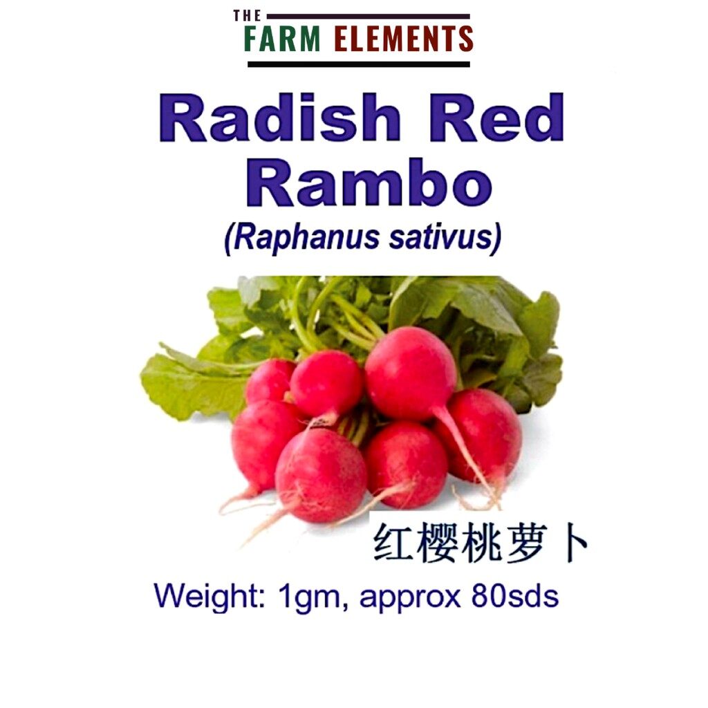 Wellgrow Radish Red Rambo Seeds (1gm, approx 80sds) WHT- 红樱桃萝卜 | Lazada
