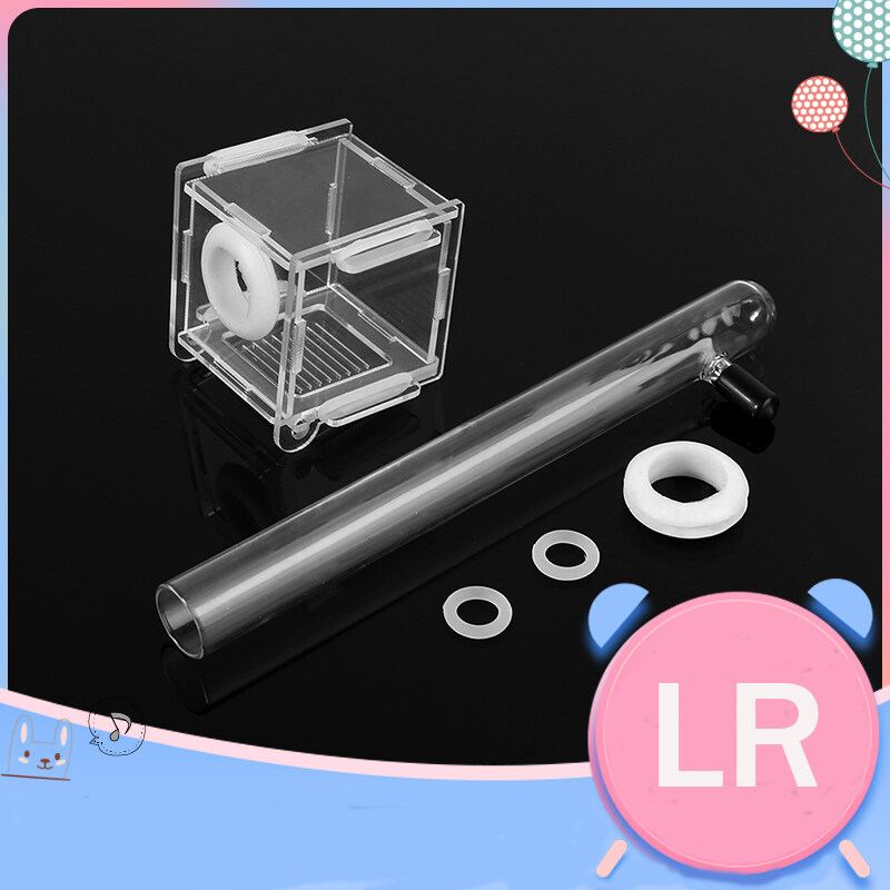 DreamAnt Nest Glass Mini Ant Nest พร้อม Active Zone Insect House Ant ...