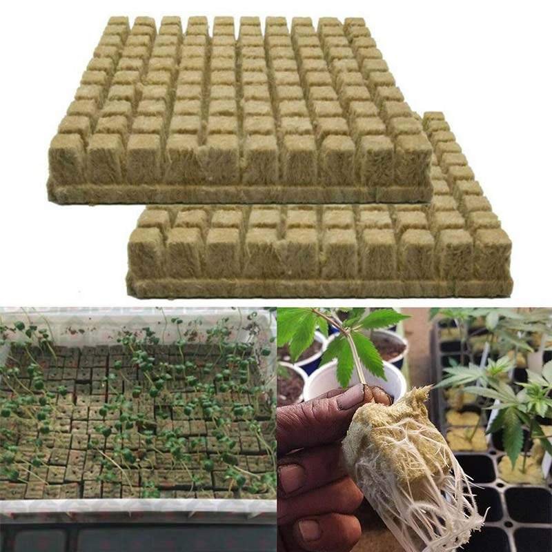 60Pcs Garden Clone Collars Neoprene Inserts Sponge Block for 2 inch Net ...
