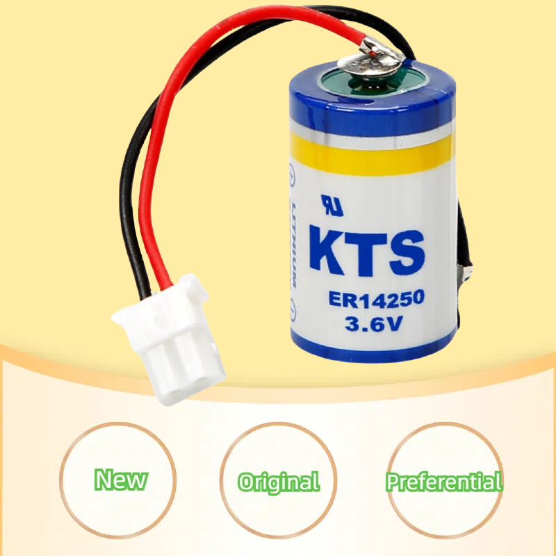 2024 Genuine Original KTS ER14250 3.6V Delta programmed DVP-32EH 40EH 80EH series PLC | Lazada ...