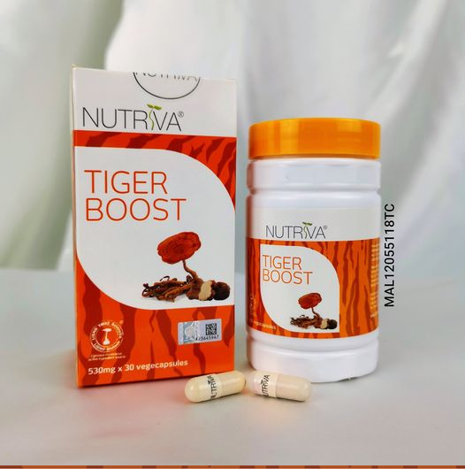 Nutriva Tiger Boost 530mg Cap 30s with Tiger Milk Mushroom & Cordyceps ...