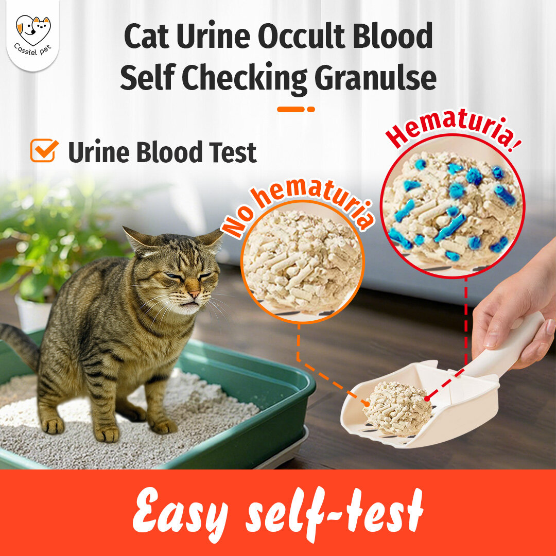 Occult Blood In Cat Urine