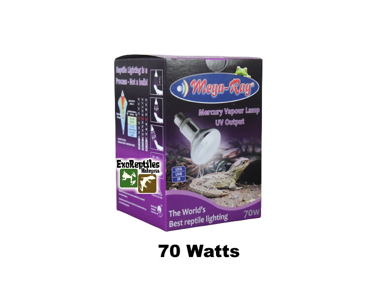 MEGA-RAY MERCURY VAPOUR LAMP UV OUTPUT 70w 100w (1unit) | Lazada