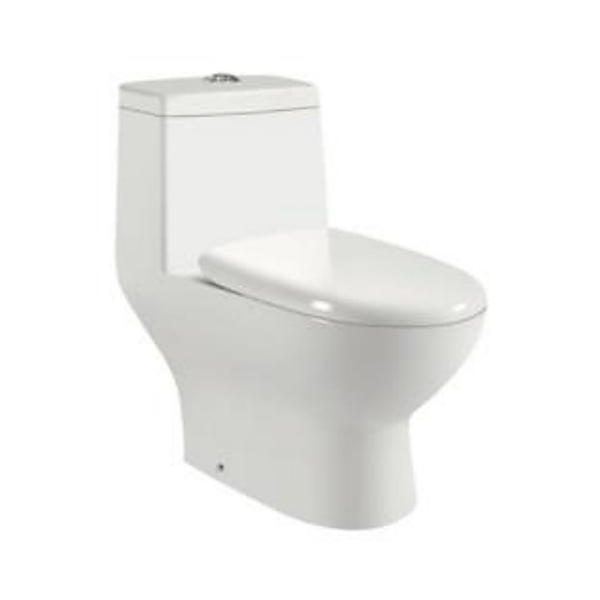 [Saniware] WC2076-10 Inch One Piece Washdown Water Closet come with ...