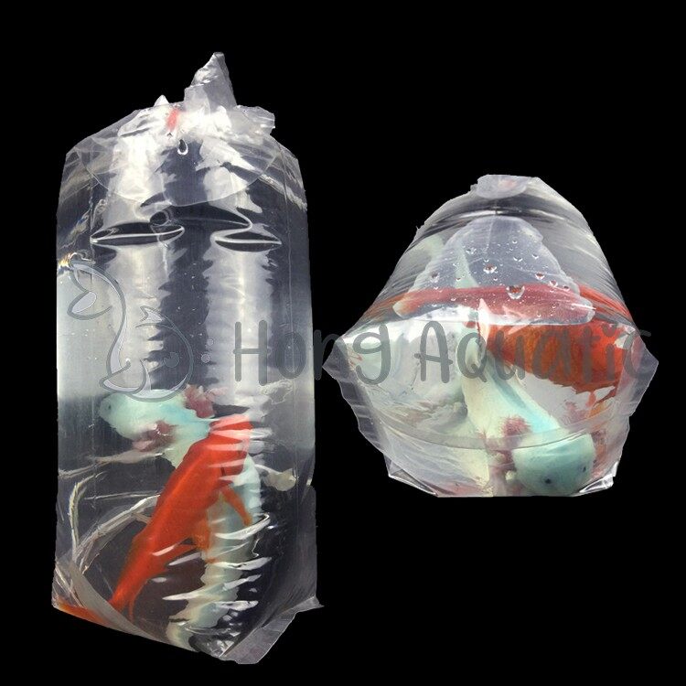 🔥Ready Stock🔥10pcs Live Fish Packing Plastic Bag Flat Bottom Fish ...