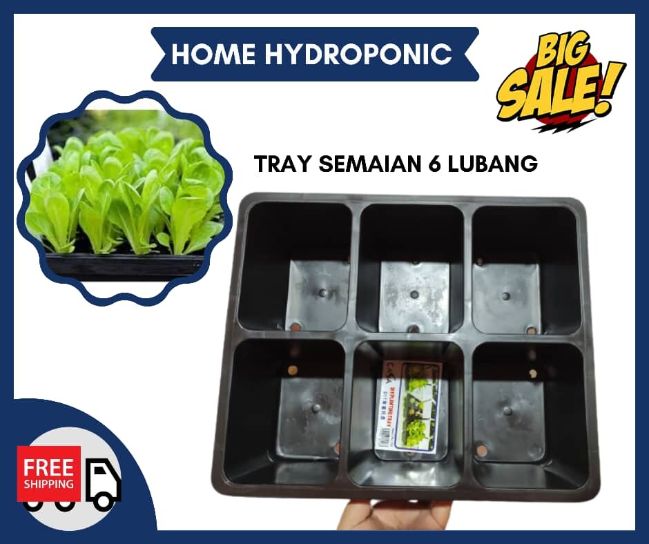 Tray Semai Anak Pokok / Tray Semaian / Germination Tray | Lazada