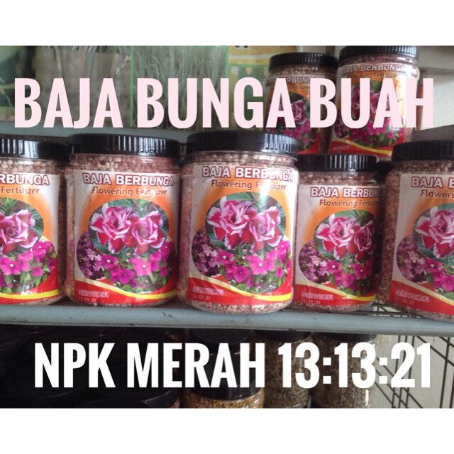 🌺10kg🌹BAJA BUNGA BUAH NPK MERAH 13:13:21🌷🌷 | Lazada