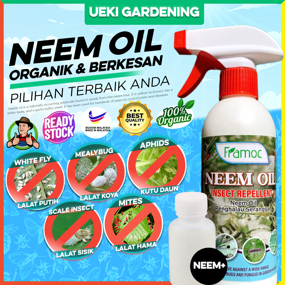 Neem Oil 320ml Racun Serangga Tanaman Pokok Imidacloprid Insecticide ...