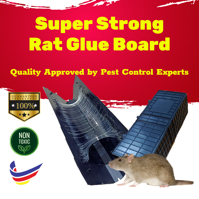 Premium Plastic Rat Glue Board/ Super Strong Glue/ Trap for Rodent Box ...