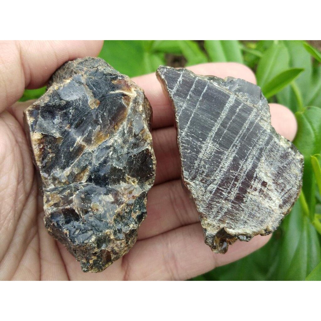 Batu getah katilayu atau ambar asli gred AAA khas untuk memancing ...