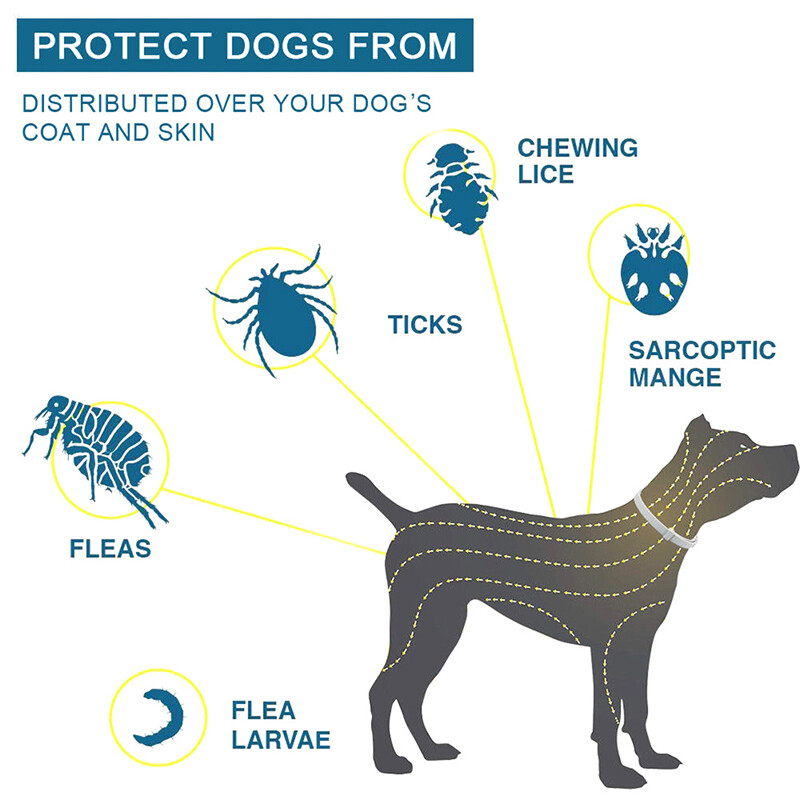 ZHONGYI01????Lowest Price???? Dog Cat Flea Tick Collar Anti Parasites ...