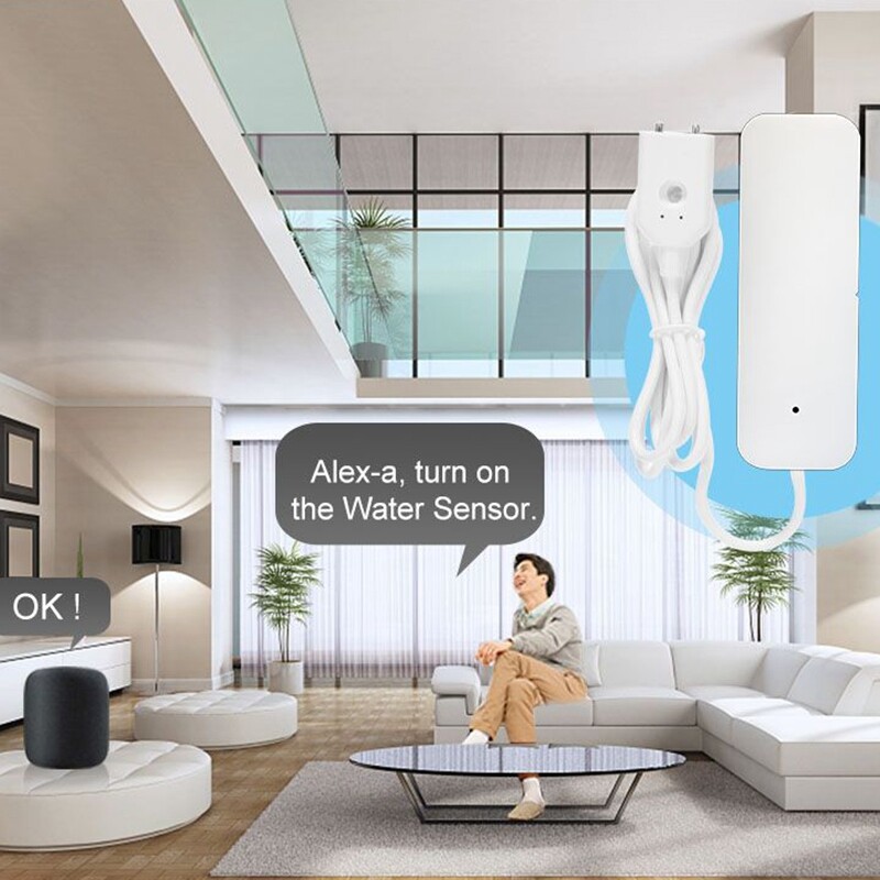 Smartlife APP Wifi Water Sensor Water Leak Detector Alarm Home Control ...