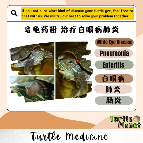 Turtle Medicine for Severe White Eye Disease, Pneumonia & Enteritis ...