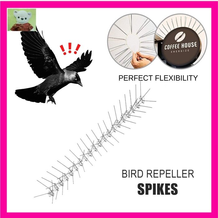 50cm 60 Stainless Steel Spikes Bird And Pigeon Spikes Anti Bird Spikes ...