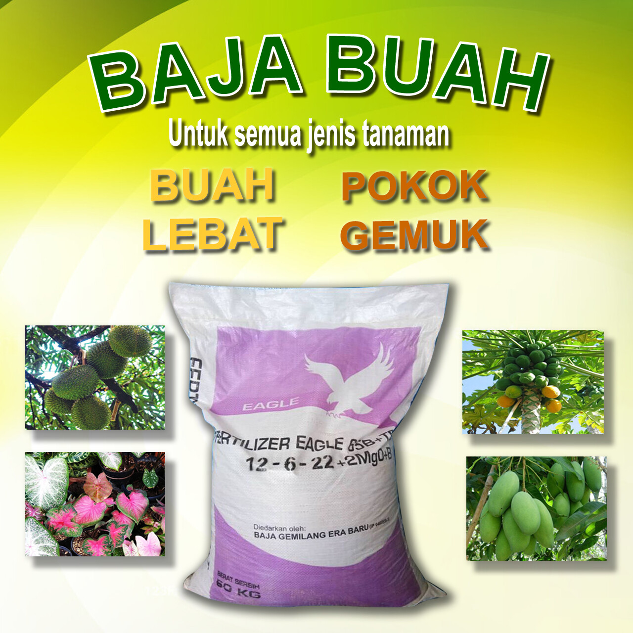 Baja Buah (1KG) Npk 12.6.22 Untuk Paksa Berbuah / Bunga, Untuk semua ...