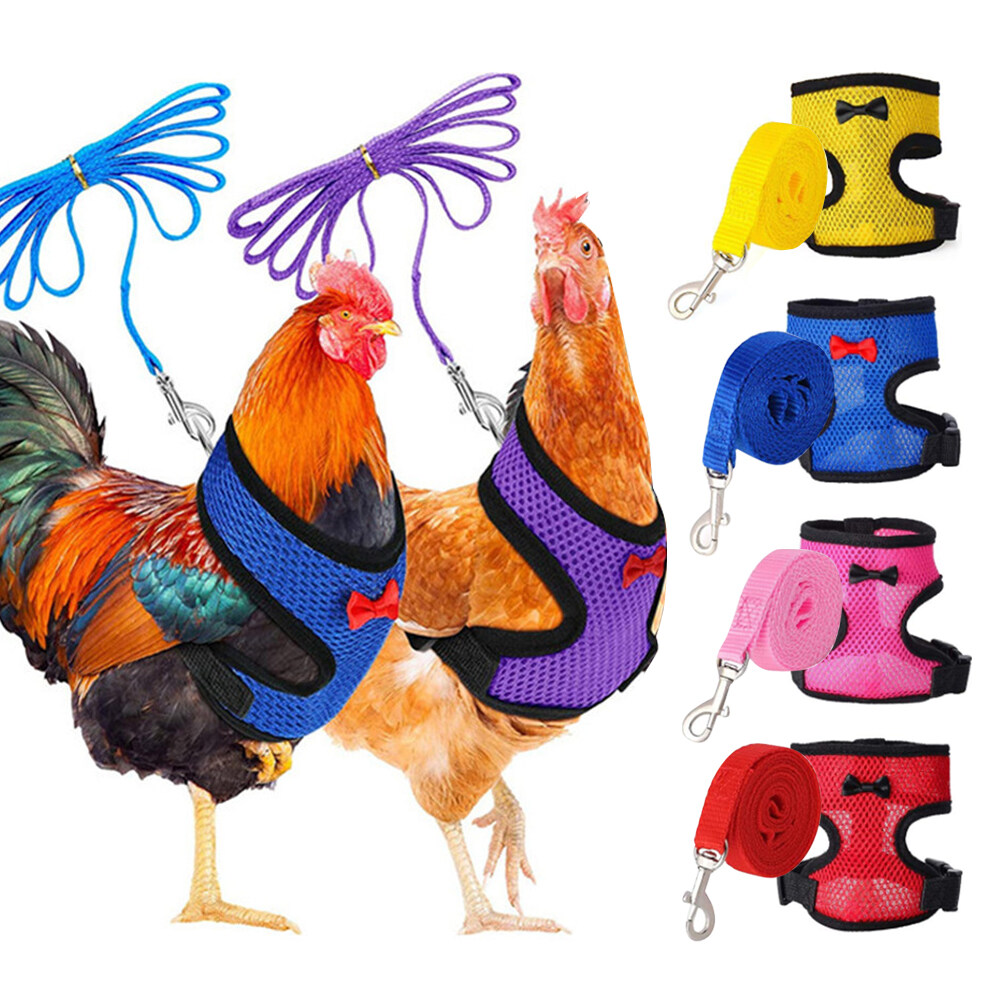 BETOP Breathable Mesh Vest Leashes Poultry Hen Pet Harness With ...