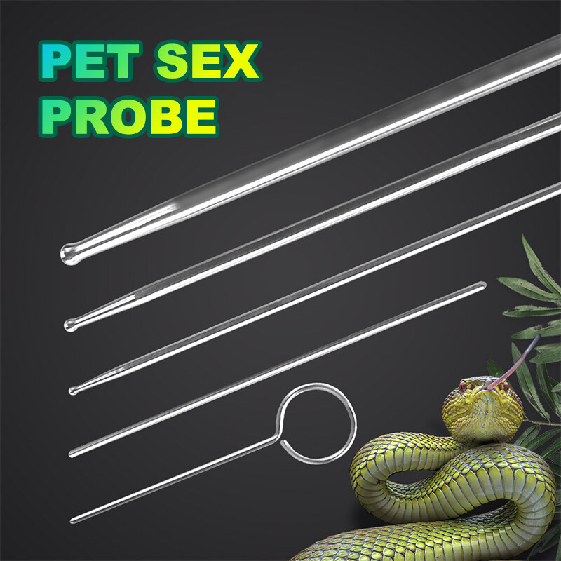 ️WT Qushaigao Snake Probe Kit 6ชิ้น Round Ball Tip Professional ...