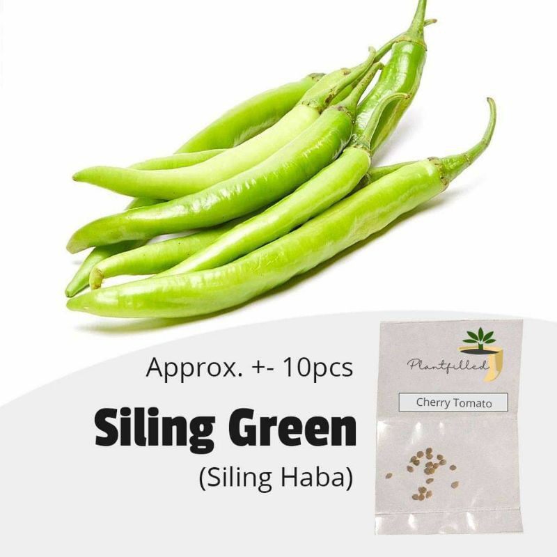 [Plantfilled] Siling Green Seeds Hot pepper| Vegetables - 50 seeds (not ...
