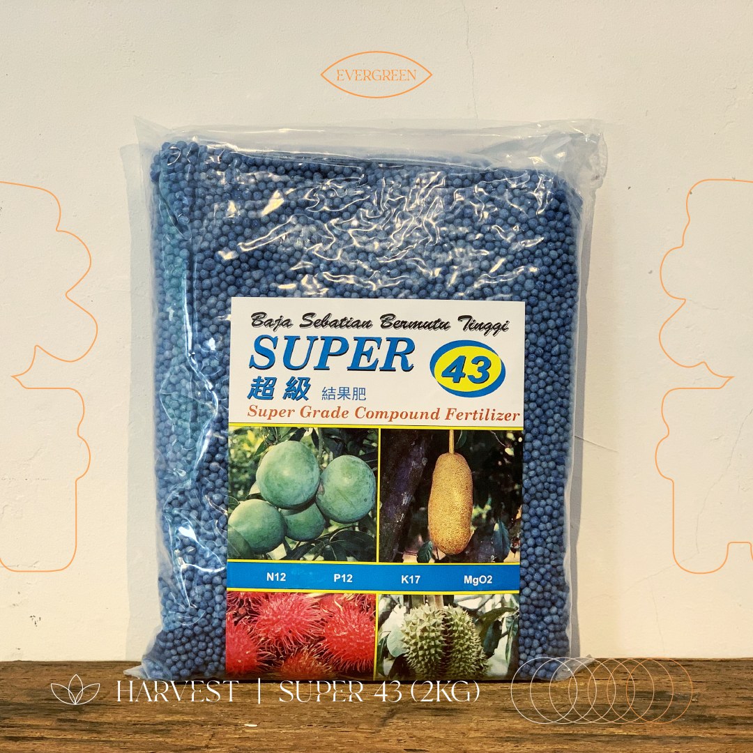 【2KG SUPER Compound Fertilizer】for flowering & growing & fruiting 开花肥 ...