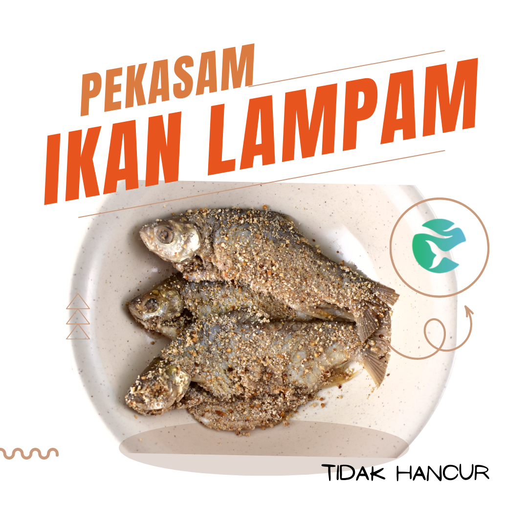 Pekasam Beras Ikan Darat (Lampam) Tanjung Dawai | Rice Fermented ...