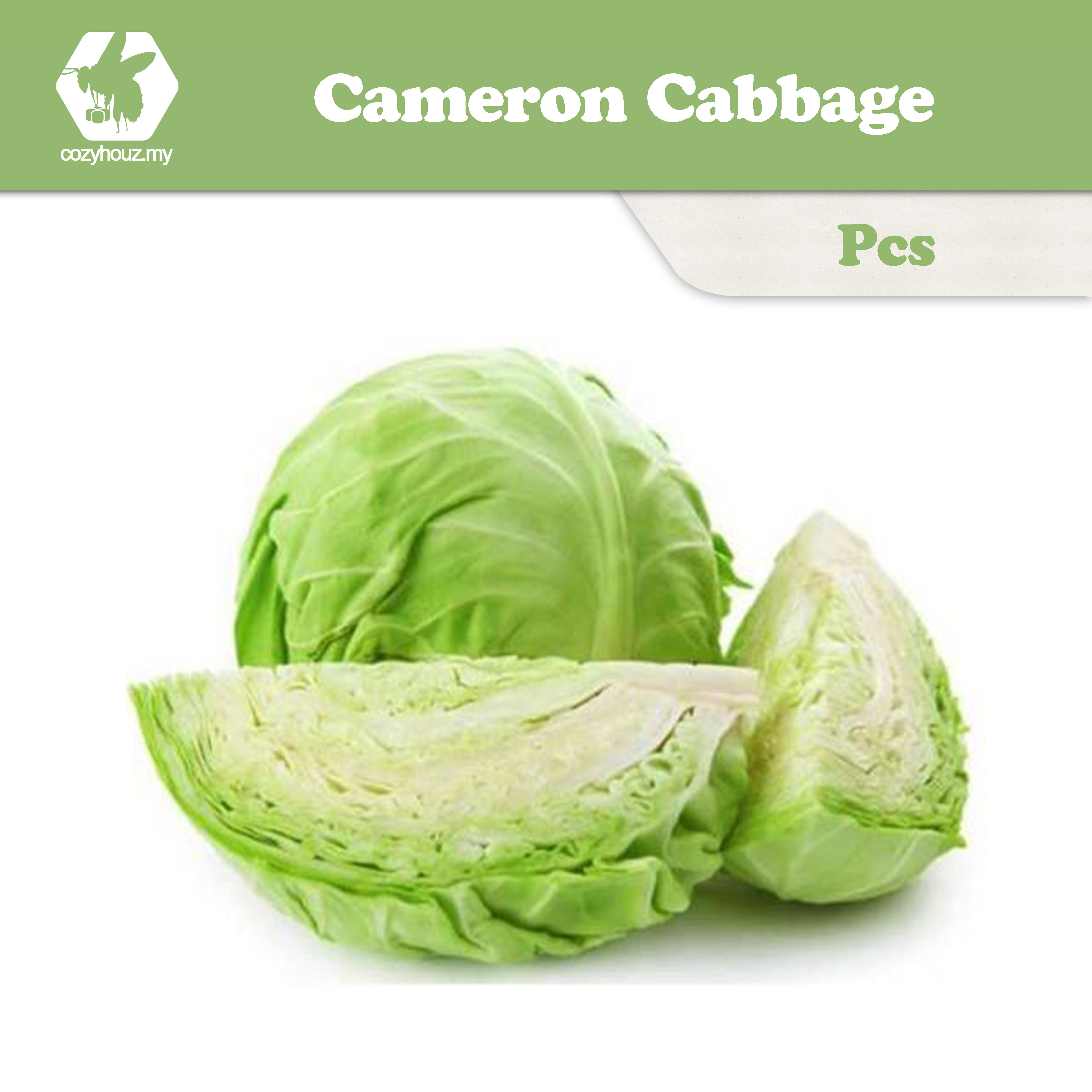 [BTW & PNG AREA ONLY] Cameron Cabbage / Kubis Cameron 1kg± | Lazada
