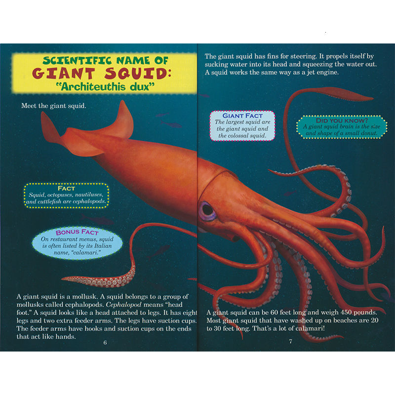 Giant Squid Size Comparison Whale