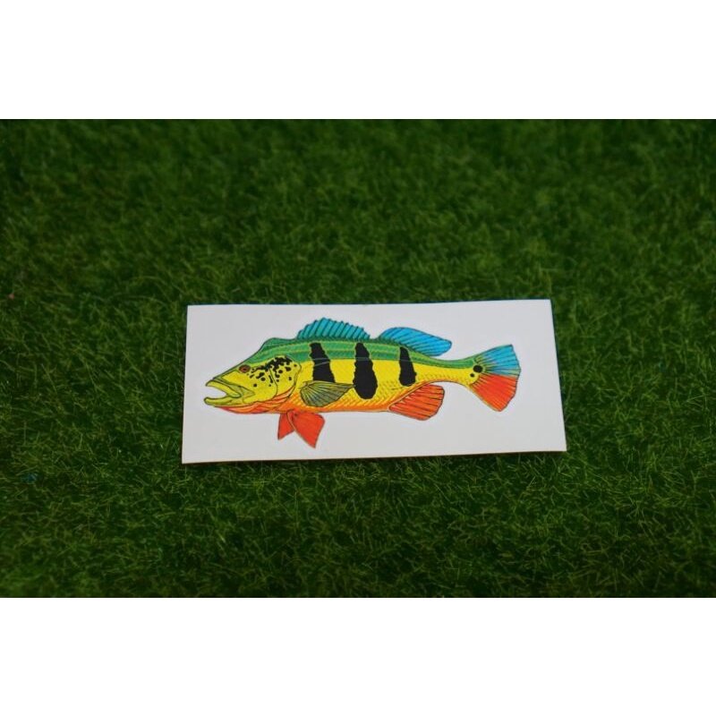 Stiker Toman , Sebarau , Peacoak Bass Waterproof / Stickers Ikan ...