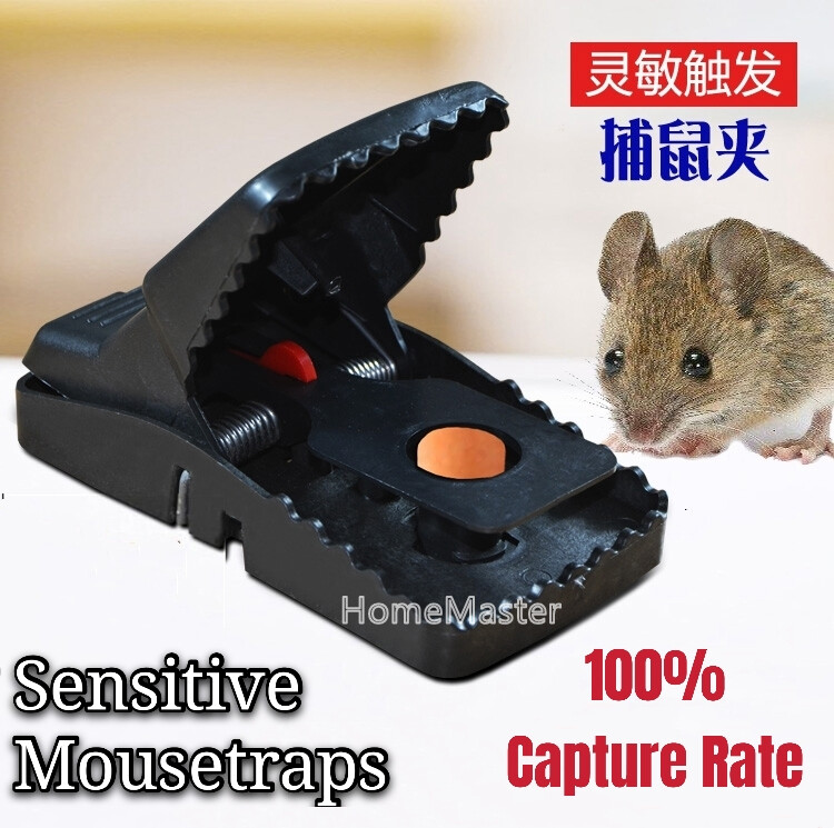 Mouse Trap/Terminate Rat/mice/Perangkap Tikus/Basmi Tikus | Lazada