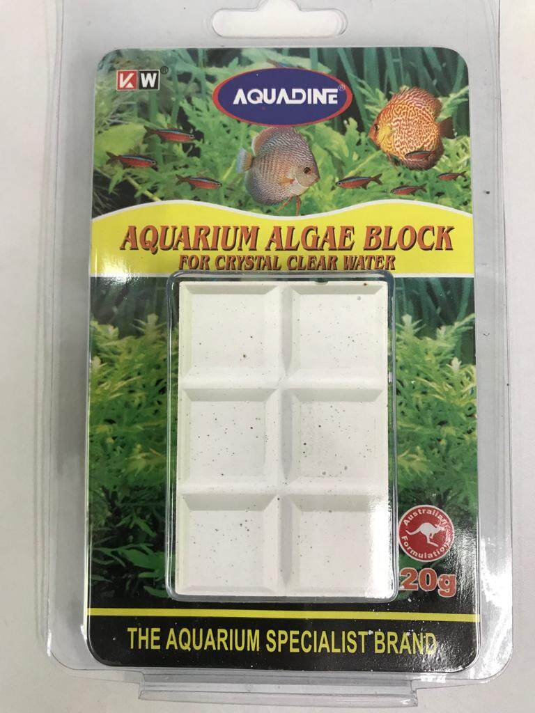Aquadine Aquarium Algae Block 20g (Water Condition) | Lazada