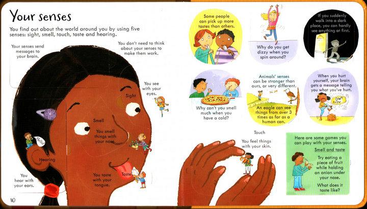 3D Usborne Look Inside Your Body Flap Book Early Learning English Word ...