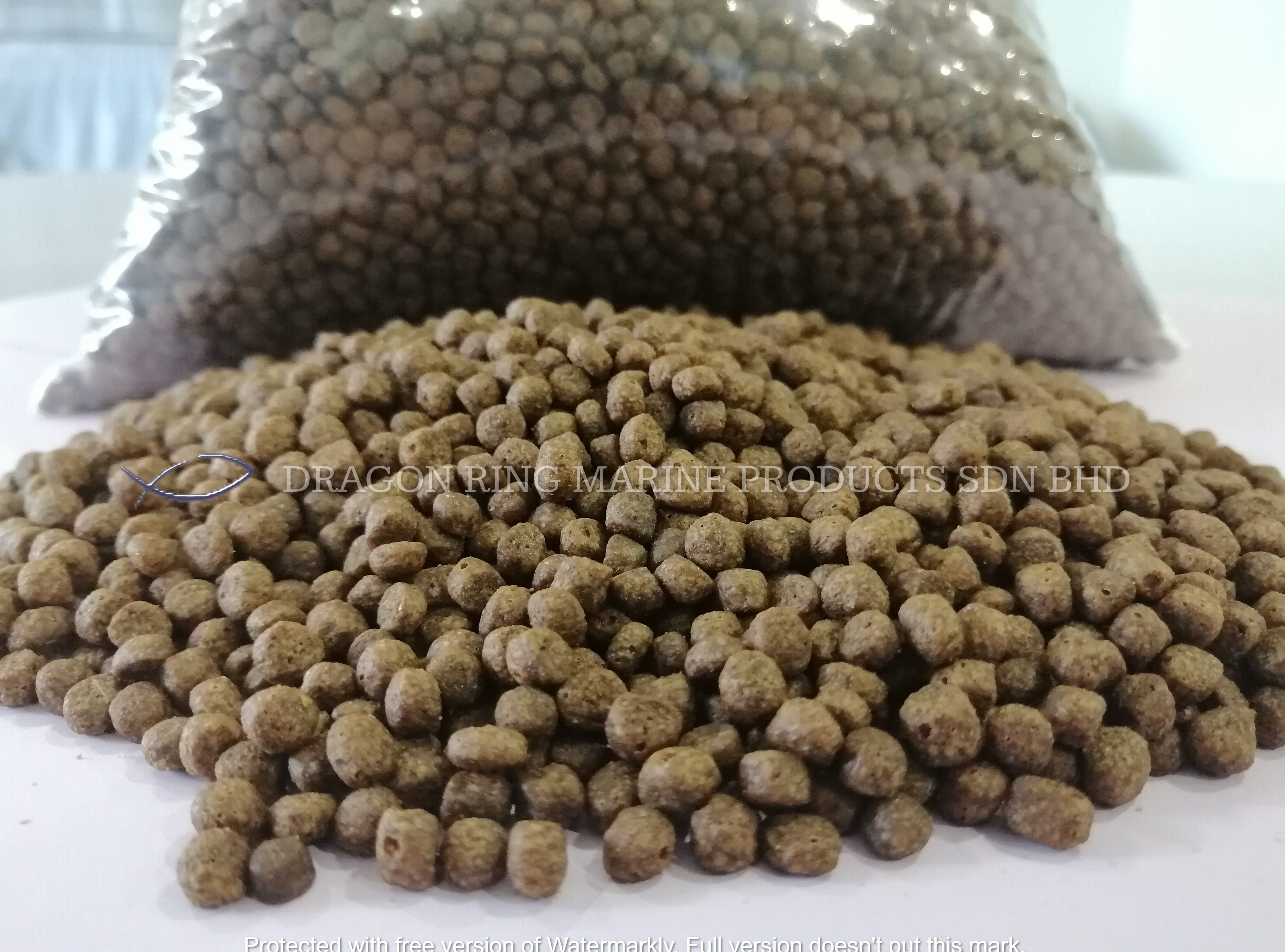 1kg Fish Feed ( 38% Protein ) | Makanan Ikan | Freshwater Fish Feed ...