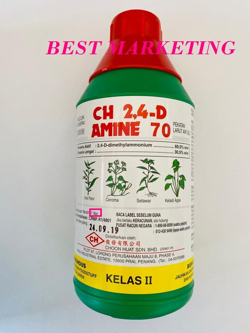 1LIT CH AMINE 70 / Keladi Agas / Para Para | Lazada