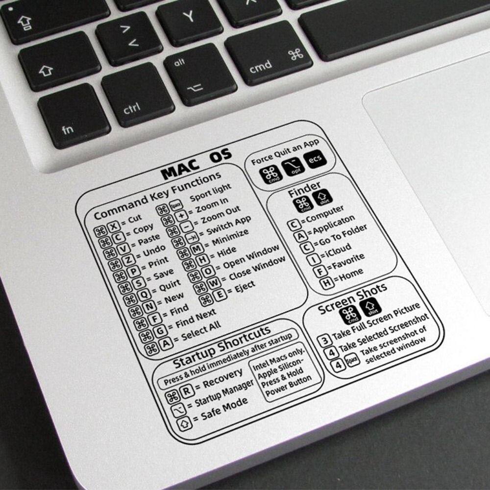 ZENONO Transparent Office Supplies Time Saving Designer Efficient ...