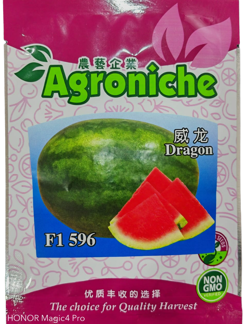 Benih Tembikai Merah Seedless Watermelon F1 596 Dragon Agroniche - ( 20g / 200g ) 👍 💯 | Lazada