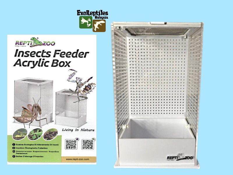 REPTI ZOO INSECTS FEEDER ACRYLIC BOX ACR25 (1unit) | Lazada
