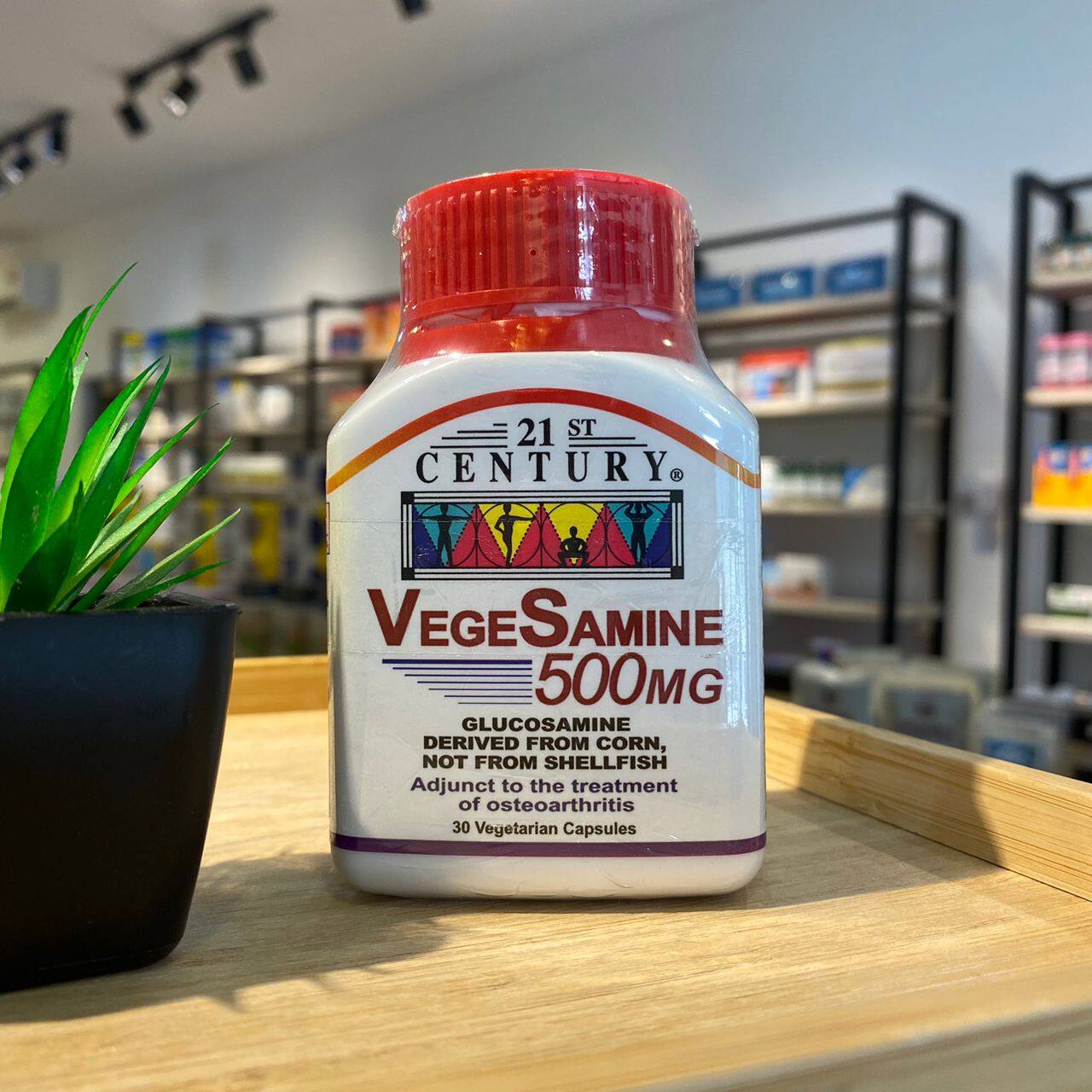 21st Century Vegesamine 500mg 30s | Lazada