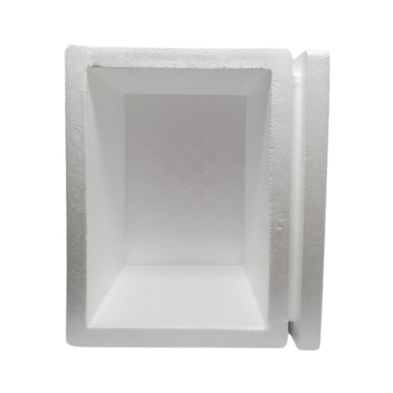Styrofoam Cooler Foam Ice Box for Frozen Fresh Food Item | Lazada