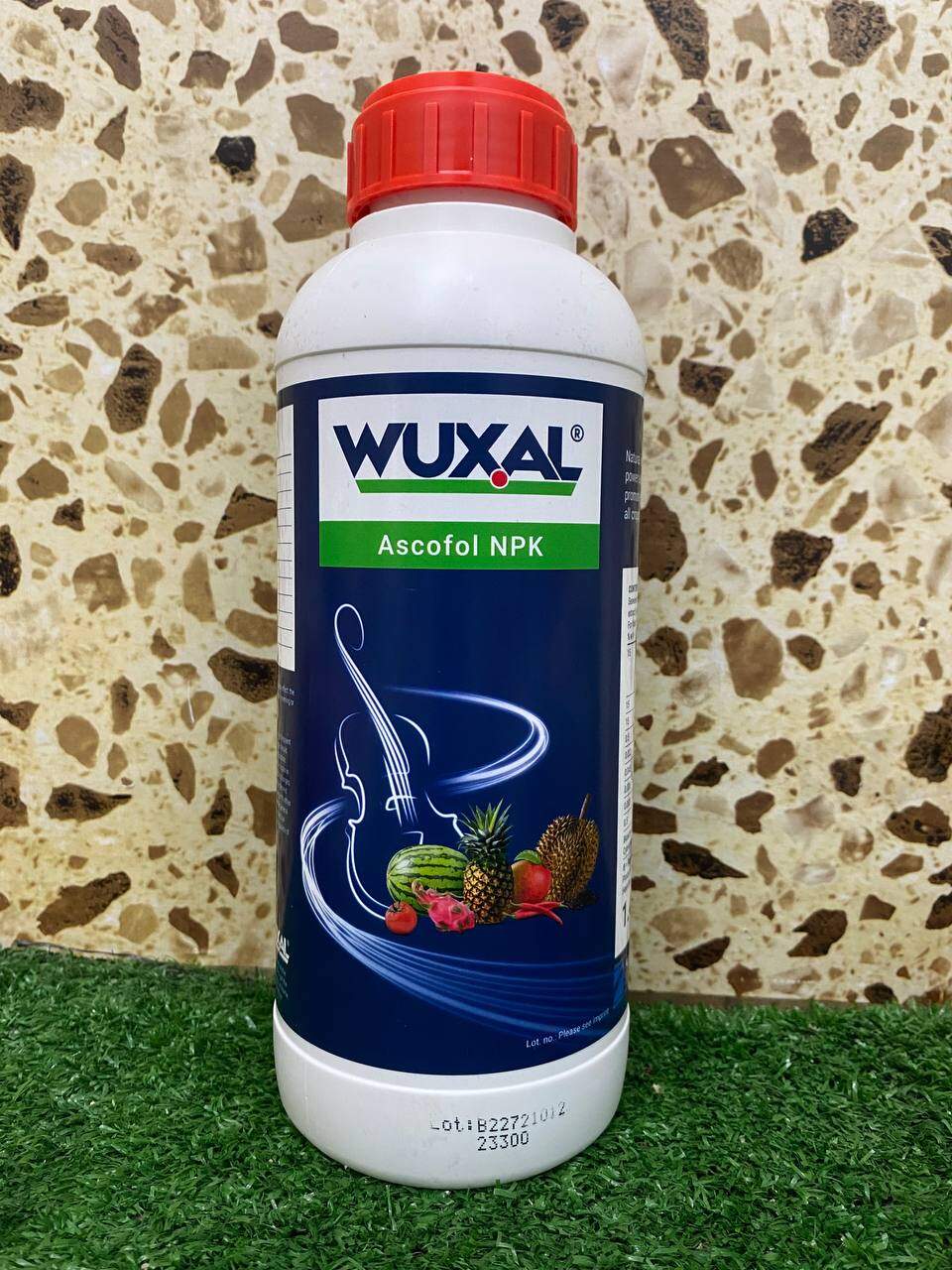 Foliar Wuxal ASCOFOL NPK (N15% : P15% : K15% + TE) 1 Liter | Lazada