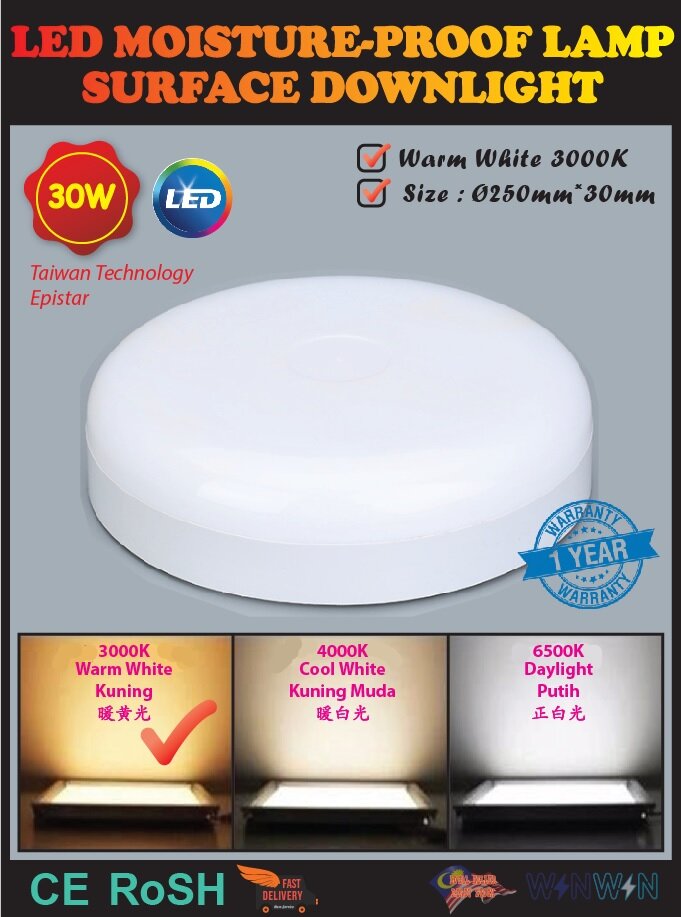 LED SURFACE DOWNLIGHT 20W 30W SURFACE MOUNTED MOISTURE PROOF LIGHT ...