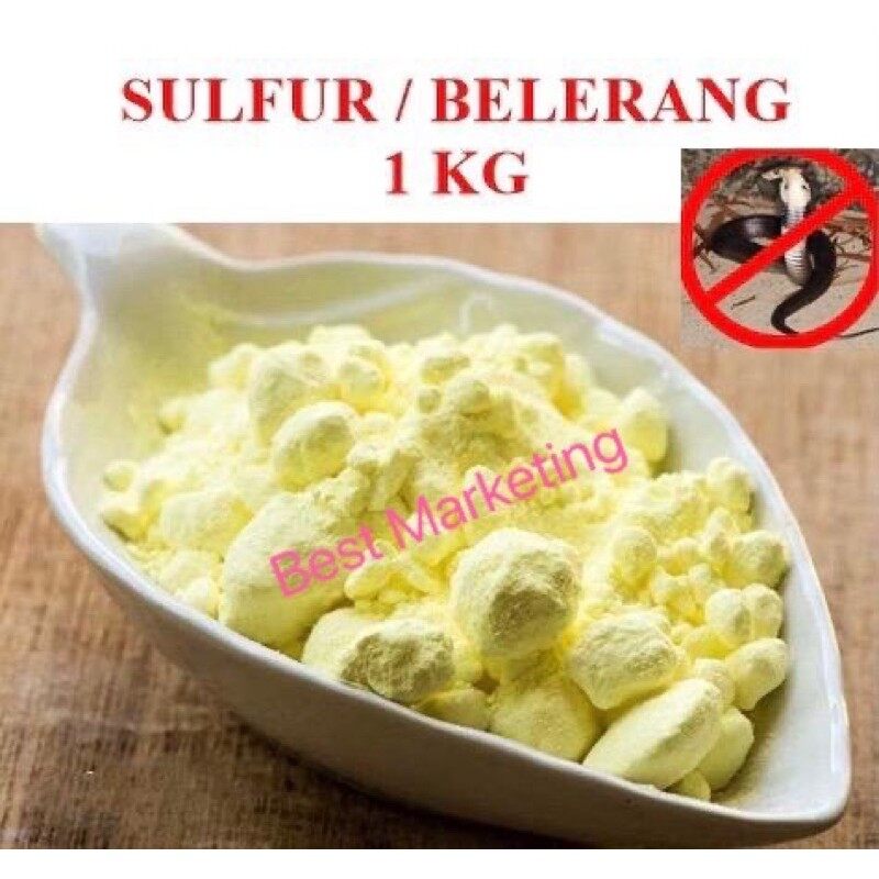 serbuk belerang / sulphur- 1kg | Lazada