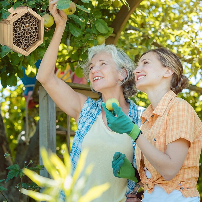 Handmade Natural Bamboo Bee Hive Mason Bee House Attracts Peaceful Bee ...