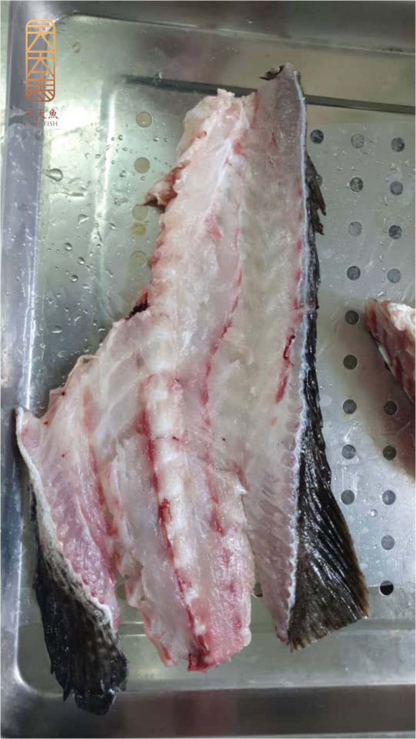 FISH - Grouper Fish Fin and Bone / Sirip dan tulang Ikan Kerapu (300g ...