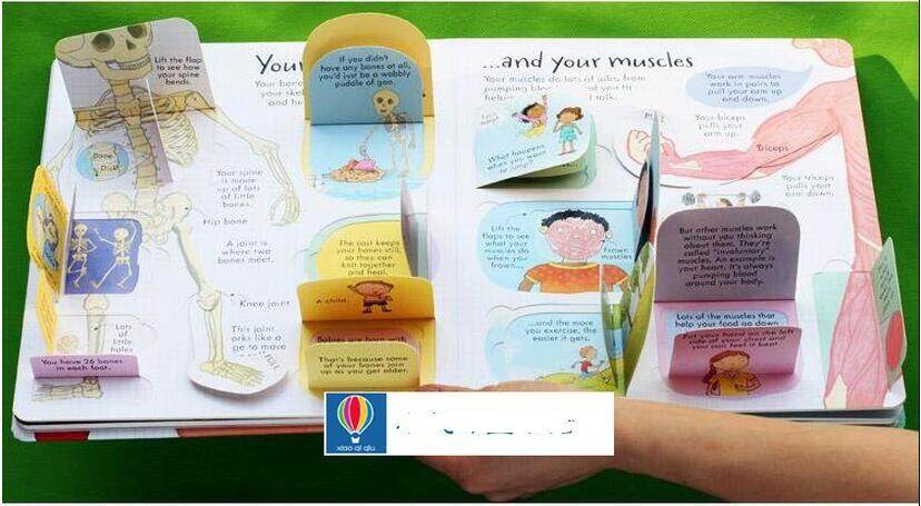 3D Usborne Look Inside Your Body Flap Book Early Learning English Word ...