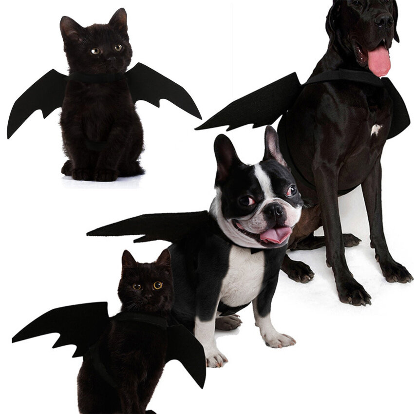 Pet Cat Bat Wings Halloween Party Decoration, Puppy Collar Guide ...